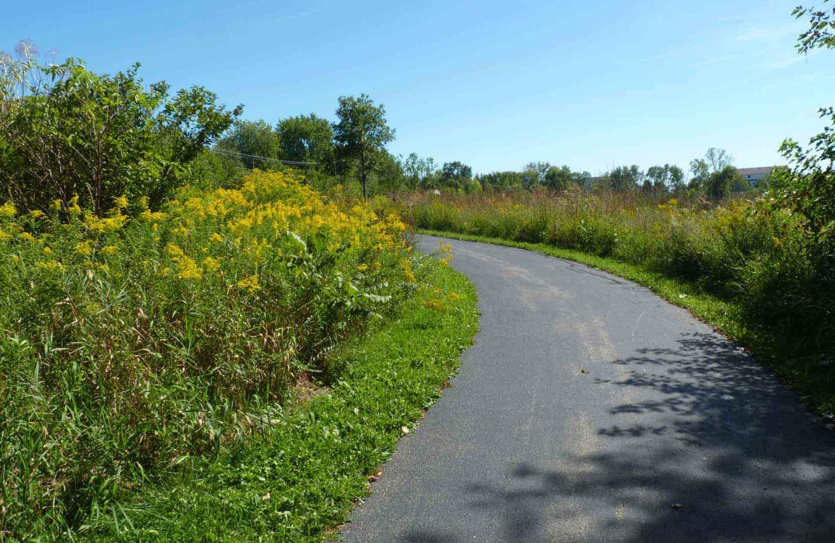 Knights of Columbus Park Trail — Bolingbrook Park District